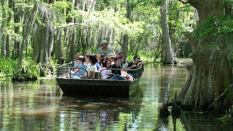 Swamp Tours – Sightseeing Tours and Attractions